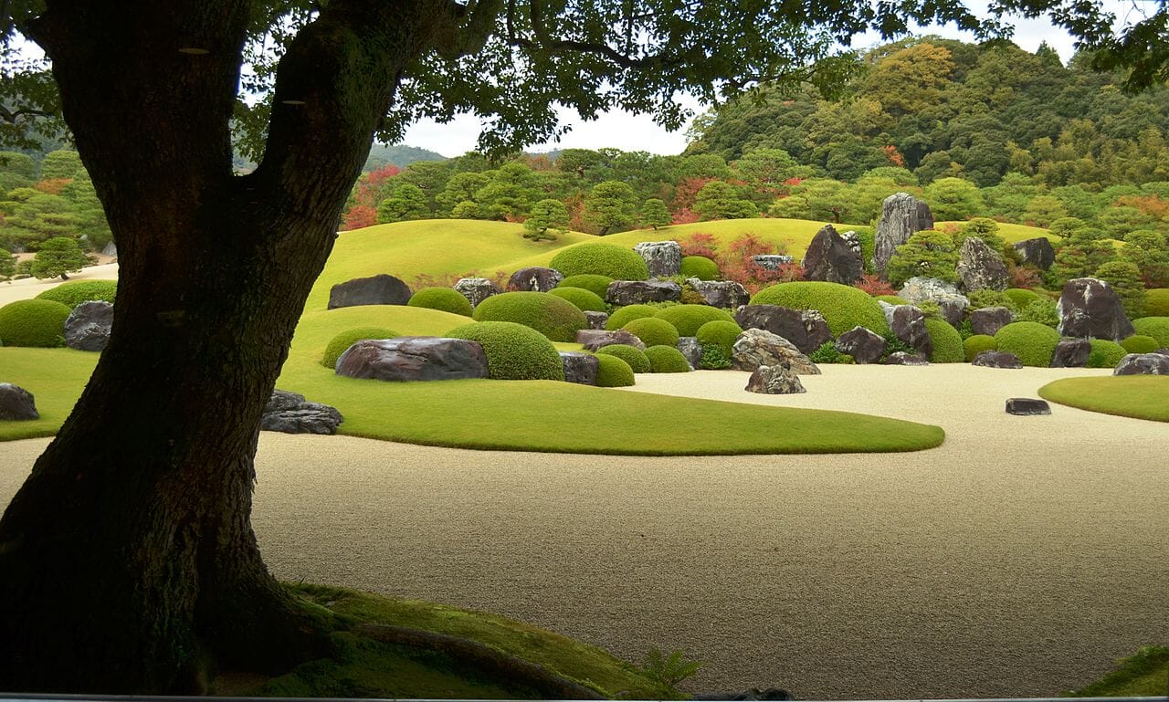 Tranquility and Insight @ The Open Buddhist University