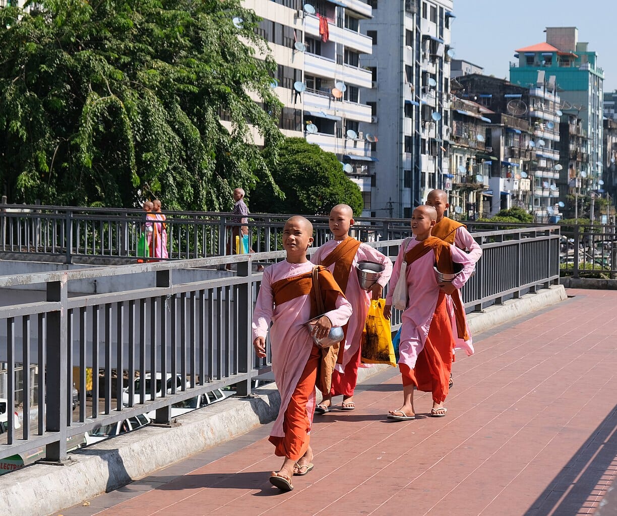 Nuns @ The Open Buddhist University